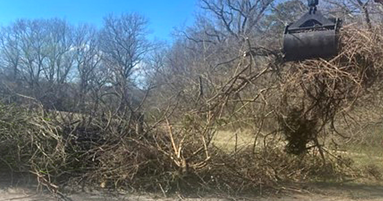 VADOC Inmates Work to Improve Parks, Office Space in Petersburg ...