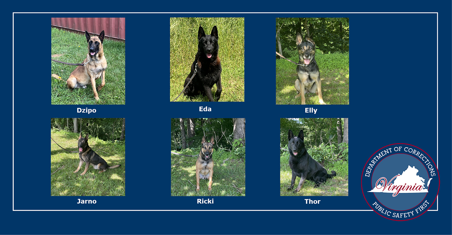 Virginia Department of Corrections K9s Dzipo, Eda, Elly, Jarno, Ricki ...